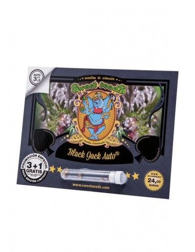 Black Jack Auto - Nordland Seeds - Skunkfrø & cannabisfrø