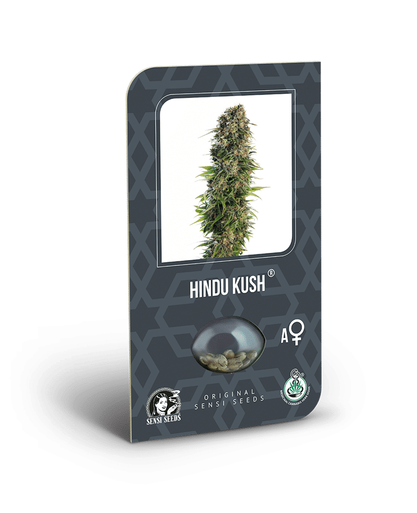 Hindu Kush Automatic - Nordland Seeds - Skunkfrø & cannabisfrø